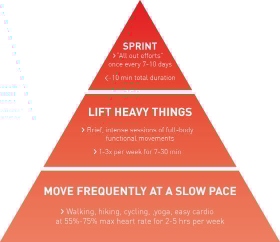 cardiovascular health: Sydney Cardiology Group